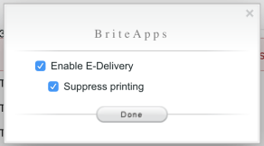 E-Delivery feature highlights – BriteCore Support
